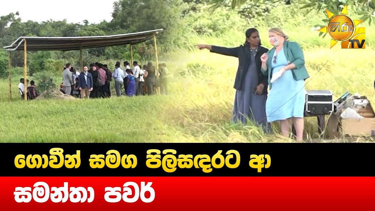 ගොවීන් සමග පිලිසඳරට ආ සමන්තා පවර් - Hiru News - YouTube