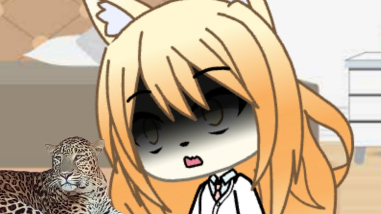 "half lion and tiger in all dragon school?" l gacha life - YouTube