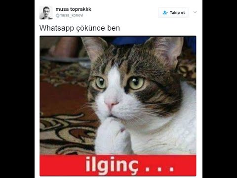 Instagram, WhatsApp, Facebook çöktü mü? Komik Capsler