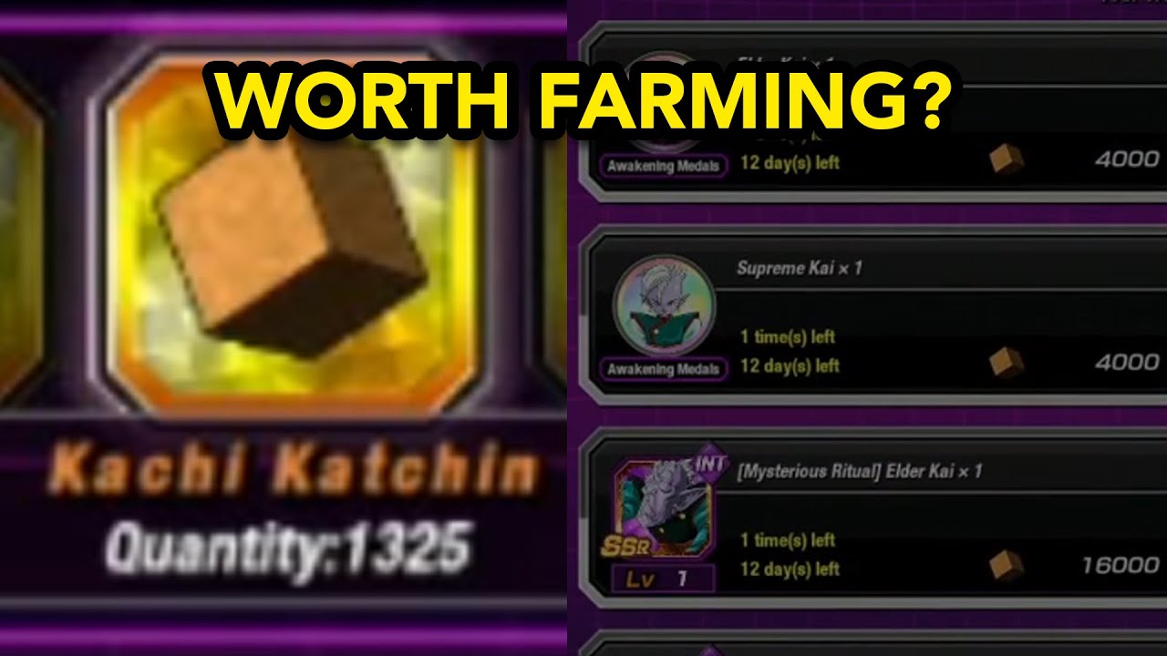 Is Kachi Katchin Worth Farming? [DBZ DOKKAN BATTLE] - YouTube