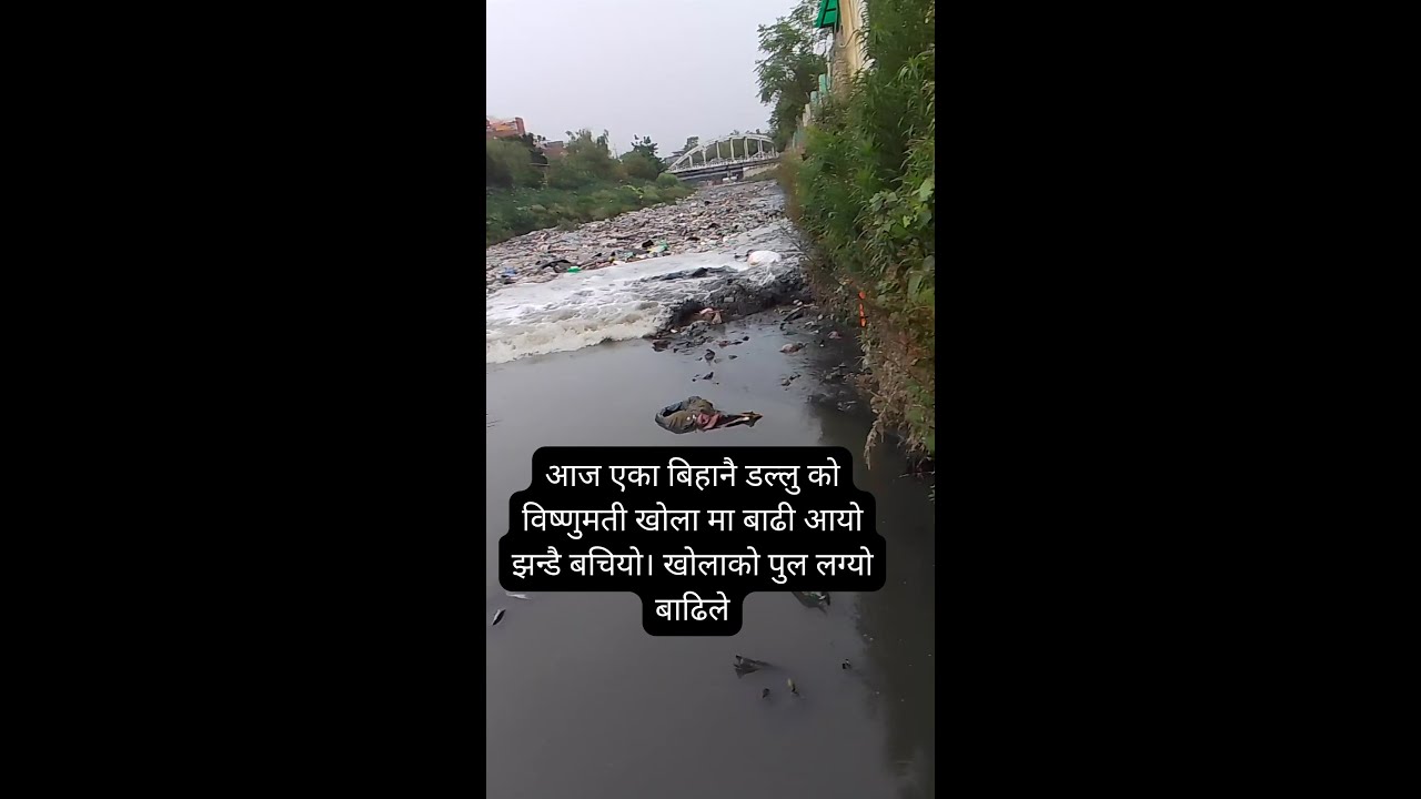 Kathmandu balen city Dallu Bishanumati Khola || एका बिहानै विष्णुमती ...