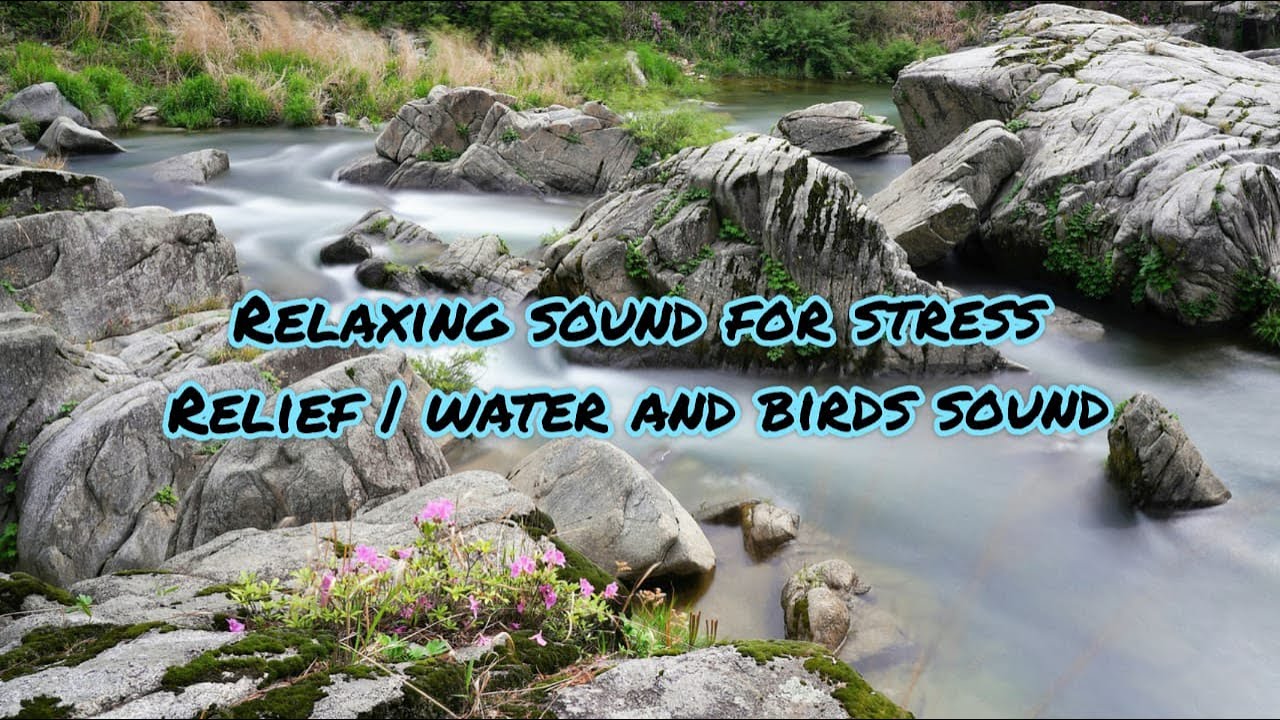 Relaxing sound for stress relief | nature sounds | water and birds ...