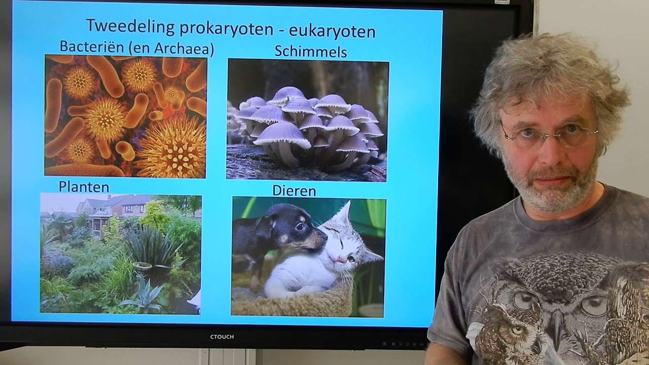 Biologie HV BB De indeling van de levende natuur - YouTube