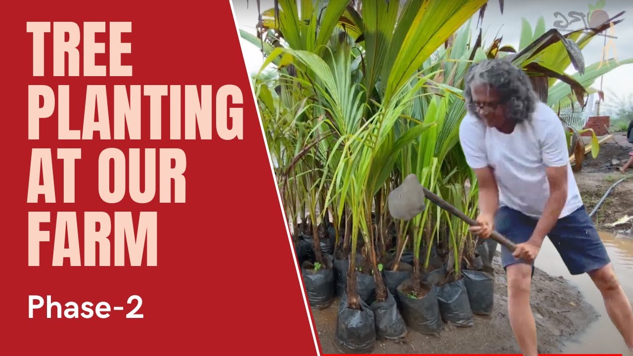 Tree planting at our farm - Phase - 2 - 2021 - YouTube