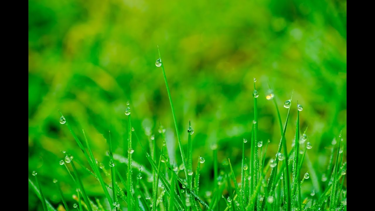 10 Hours Gentle Rain And Thunder Sound Relaxing Sounds Deep Sleep