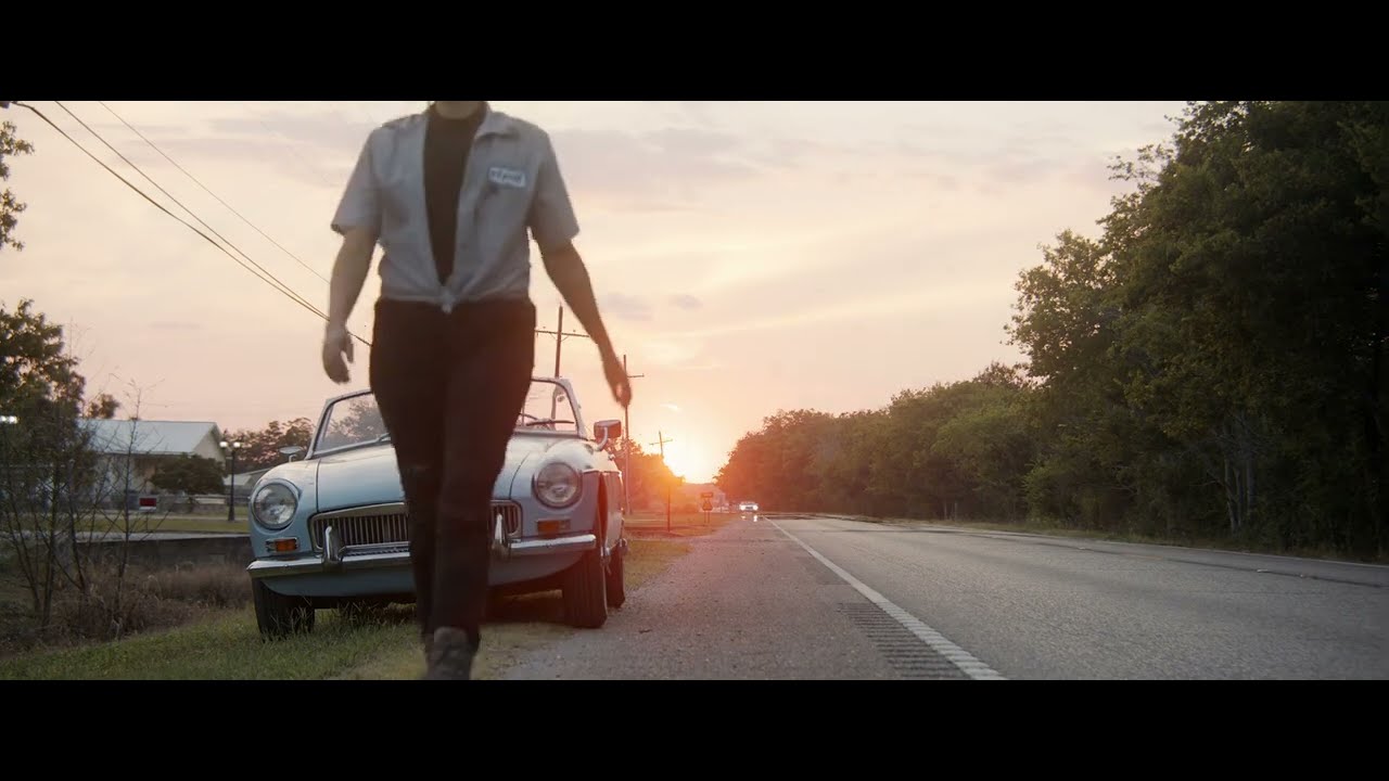 April Provost - Dandelion (Official Music Video) - YouTube