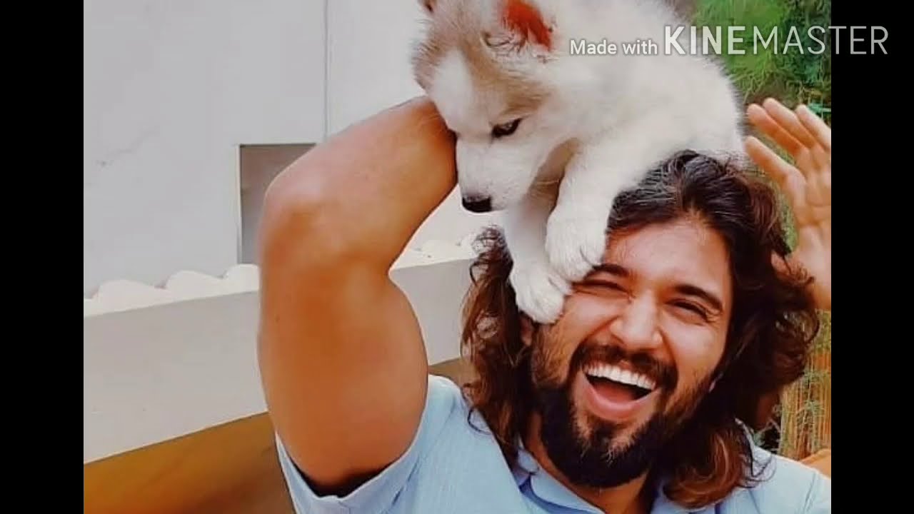 Vijay devarakonda playing with dog at home | Latest video|Pet life ...