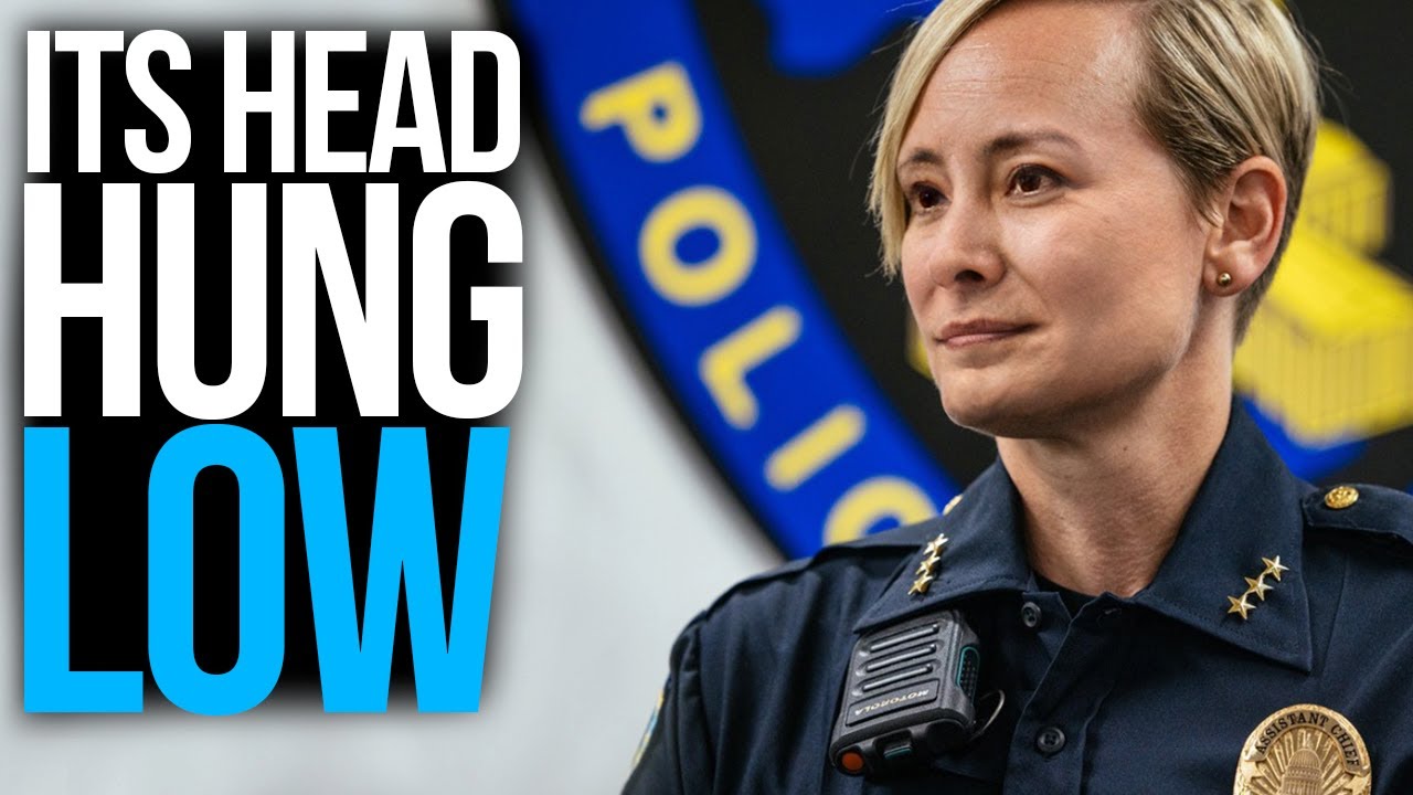 Police Officer SPILLS the BEANS on WHAT Is OUT THERE [compilation ...