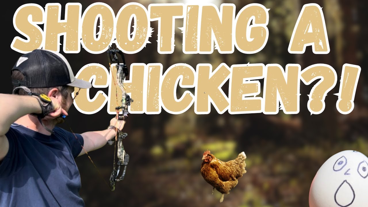 Exploding Chickens - What a Shot!! - YouTube