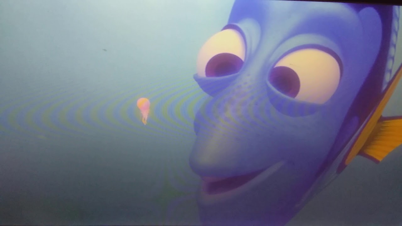 My favorite scene from Finding Nemo - YouTube