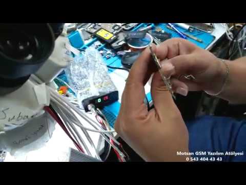 Tamir de yeni yardımcımız Short Killer