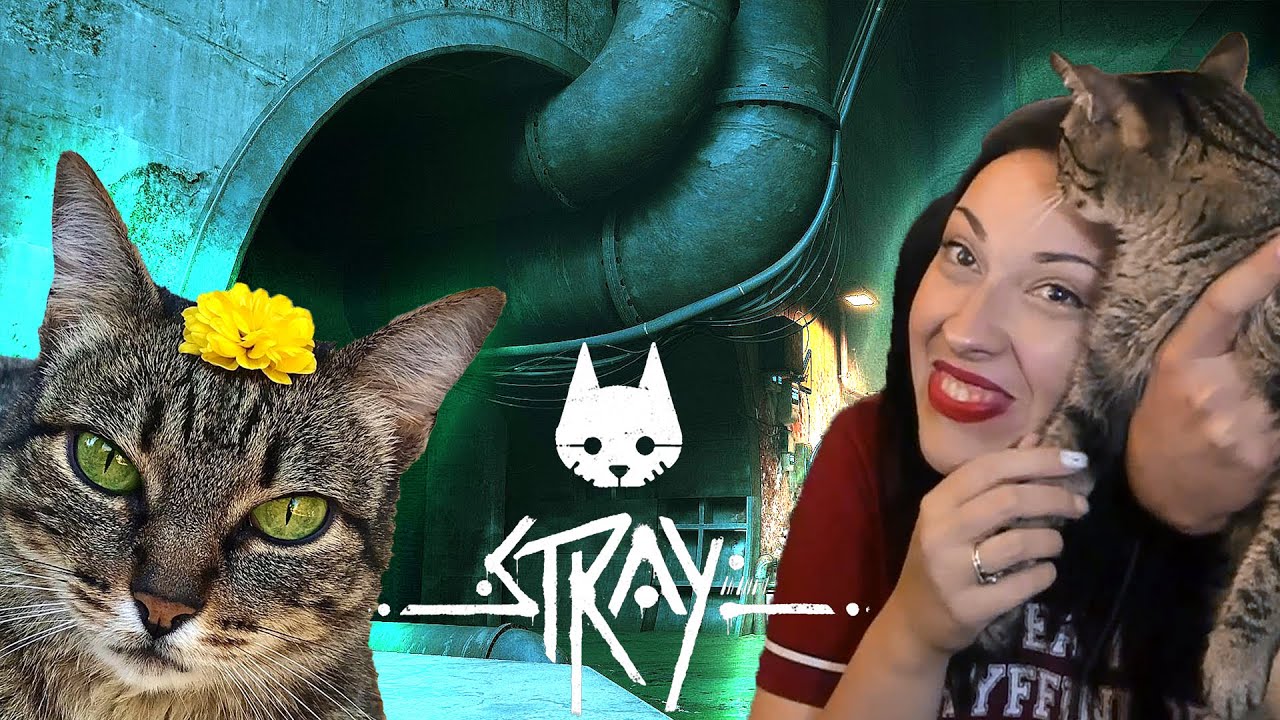 STRAY Walkthrough Part 3 - TWO STEPS BACK ONE STEP FORWARD - YouTube