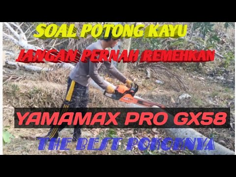 Potong Kayu dengan Yamamax Pro GX58 - YouTube