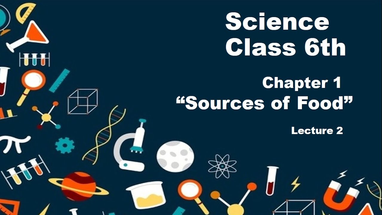 Science Class 6 | Chapter 1 (Lecture 2) | Sources of Food - YouTube