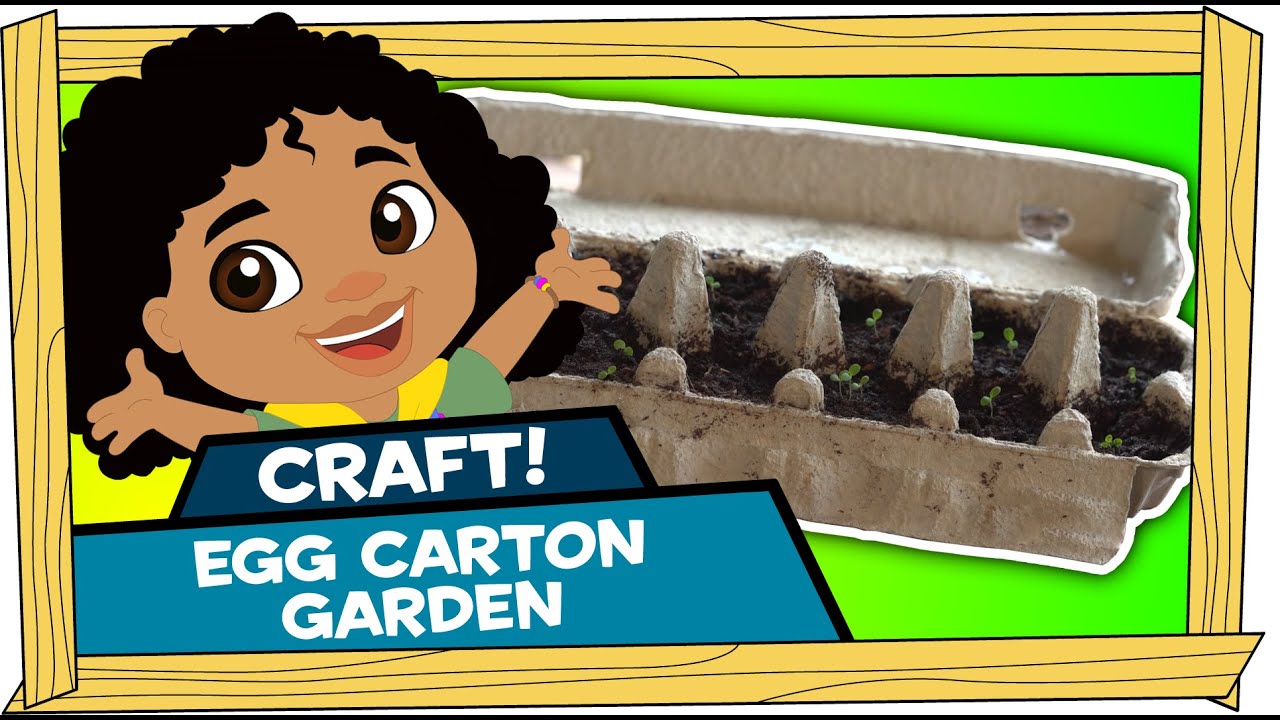 Kid Crafts: Egg Carton Garden - Darwin and Newts - YouTube