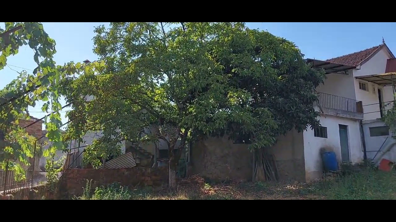 We found a house! - YouTube