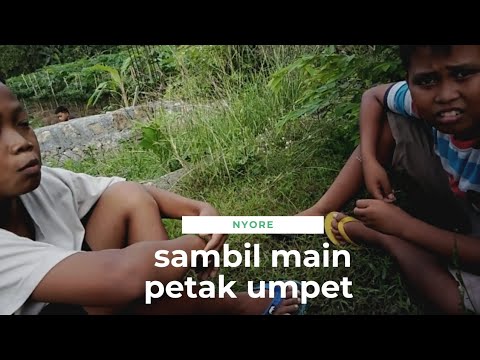 Main petak umpet !! - YouTube