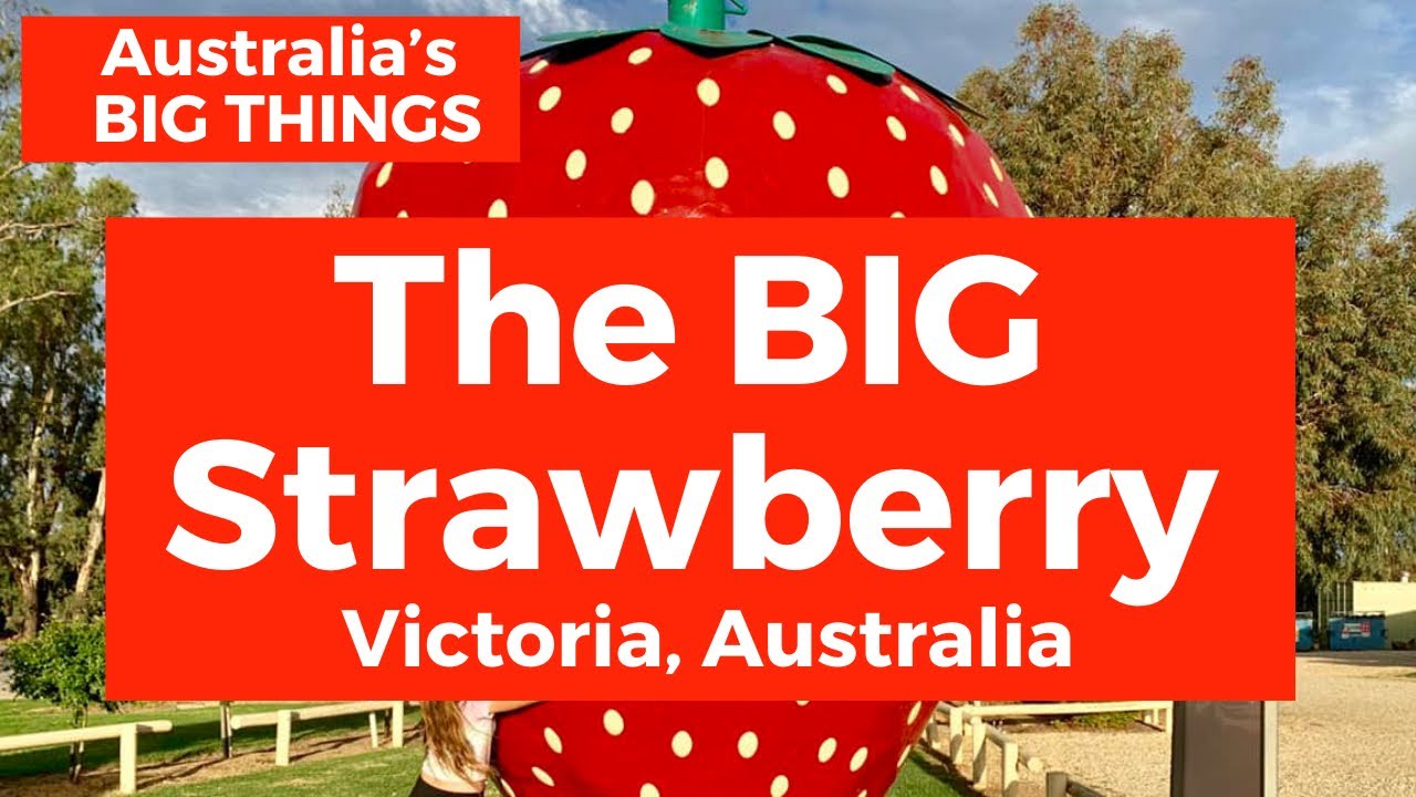 The Big Strawberry, Victoria, Australia - YouTube