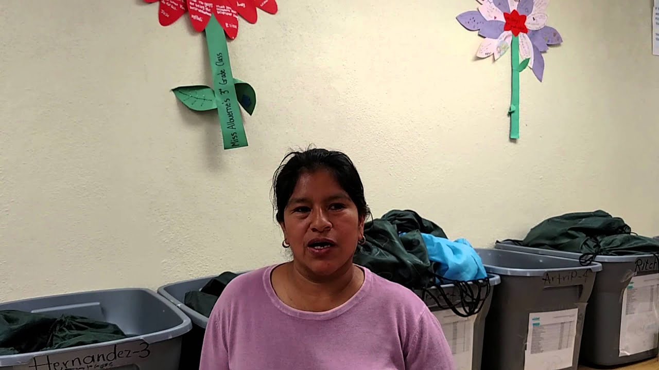 Tice Elementary Parent Opinion YouTube tice-elementary-parent-opinion-youtube