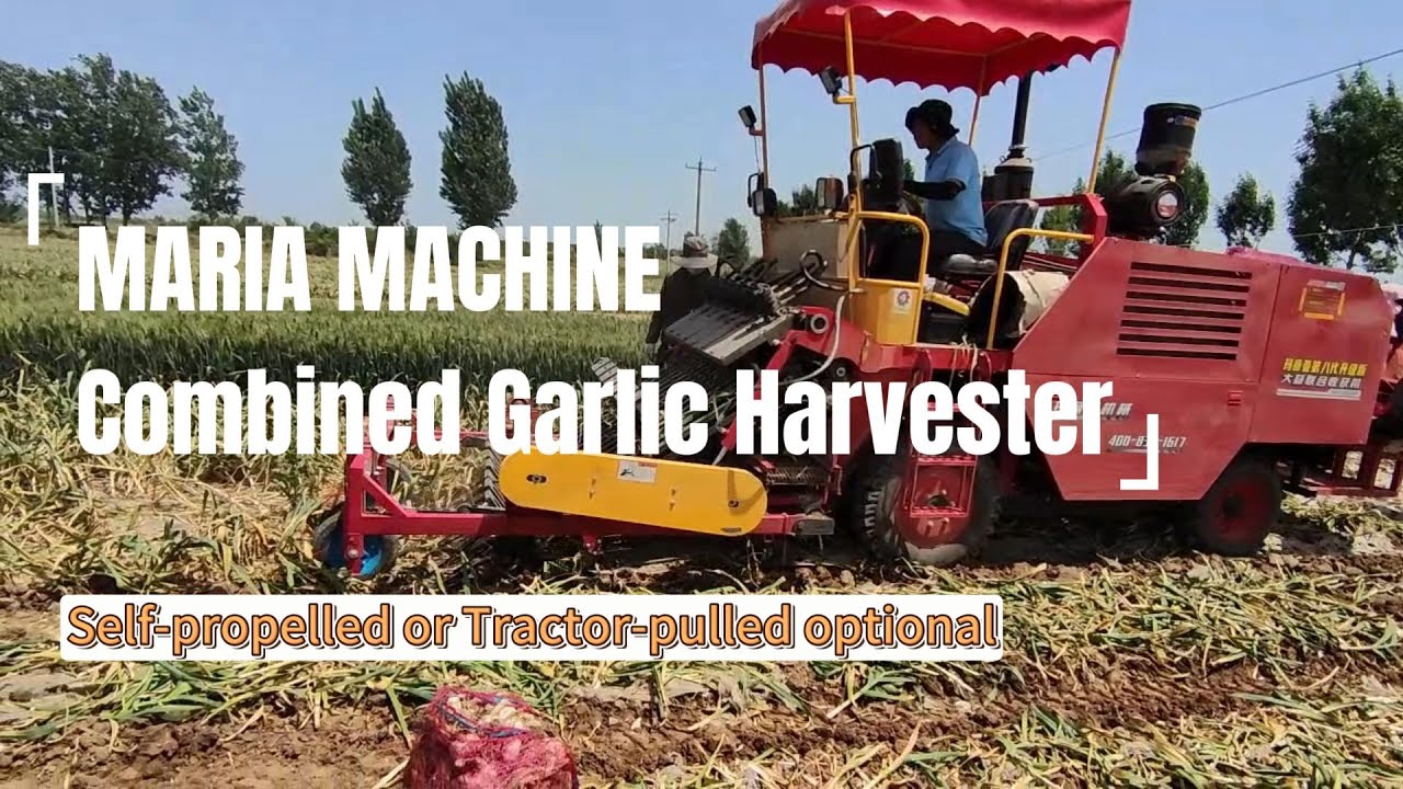 Maria Machine Combine garlic harvester: Self-propelled or tractor ...
