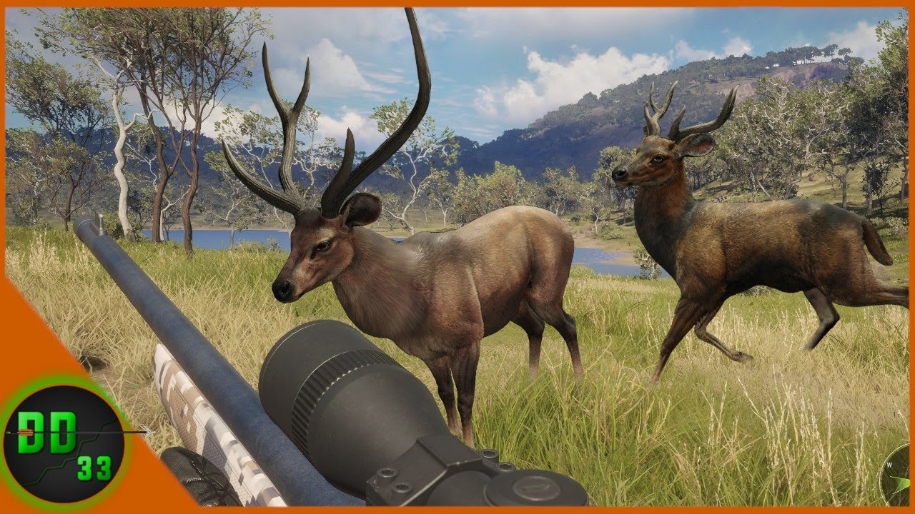 Hunting The Australian Bush With The 450 BUSHMASTER Rifle! Call Of The ...