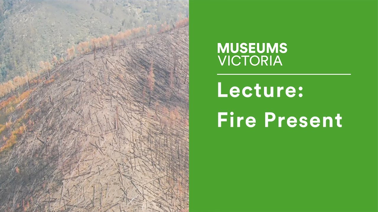 Museum Lecture: Fire Present - YouTube
