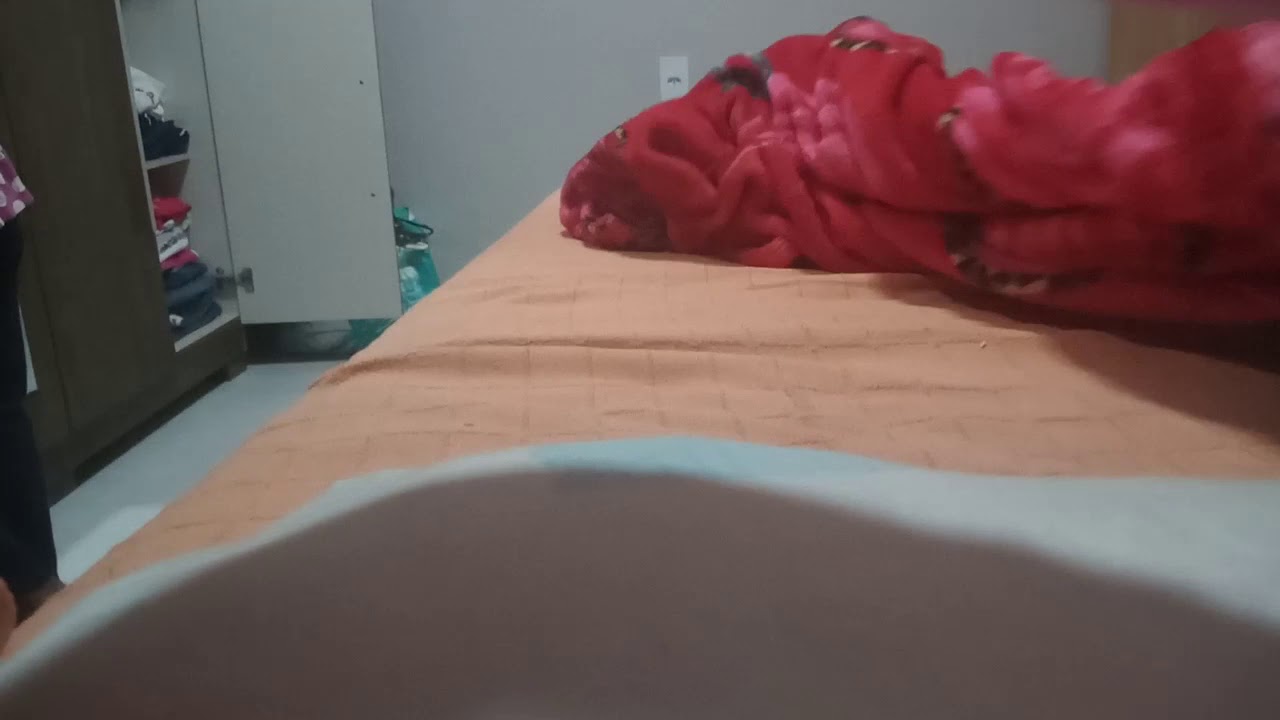 Trólei Minha Mãe Youtube