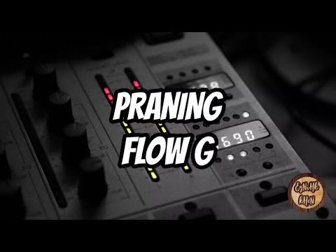 Praning - Flow G (Lyrics) - YouTube