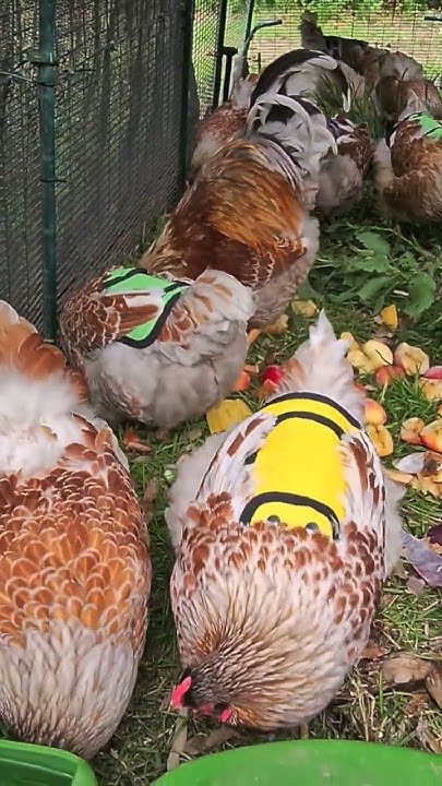 Jack wants to show his appreciation by adding more silver to the 2,500 Subscriber GAW! - YouTube