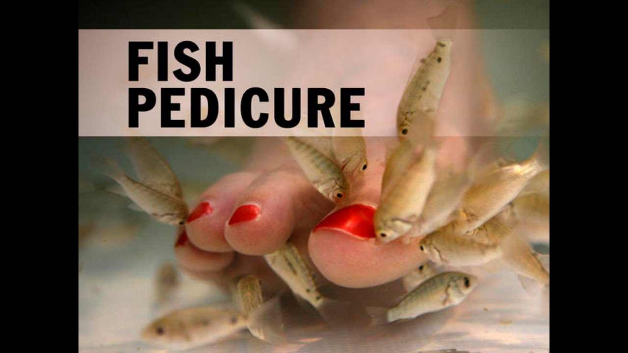 Try It Friday: FISH EAT MY FEET! (fish pedicure) + BONUS T.I.F. - YouTube
