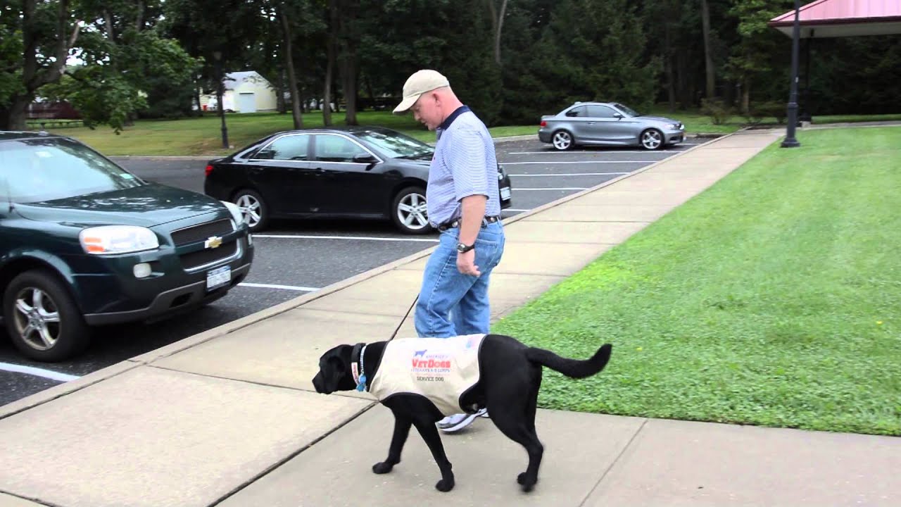 America's VetDogs Graduate Daniel Smith - YouTube
