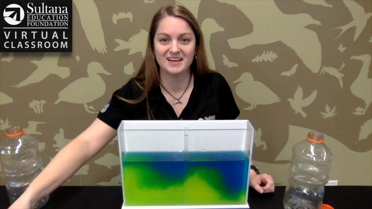 Salt Wedge Experiment - YouTube