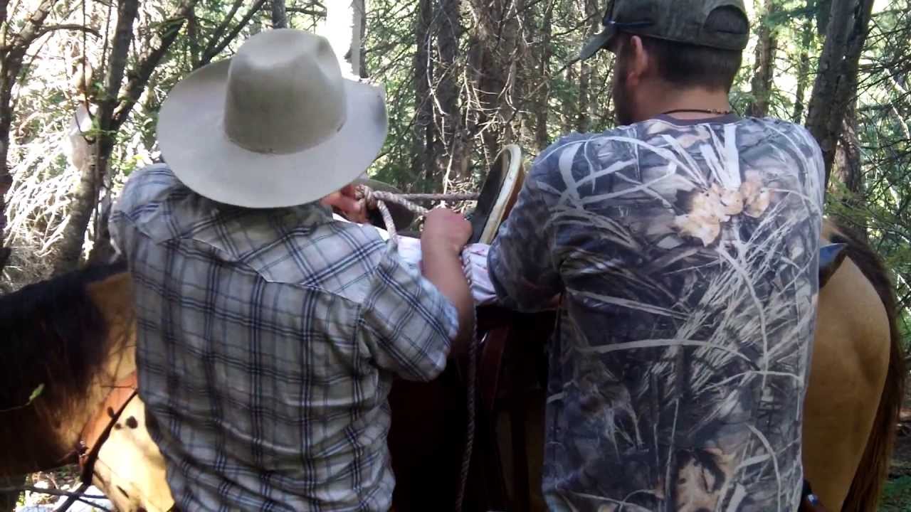 packing elk on a riding saddle using a barrel hitch. Part1 - YouTube