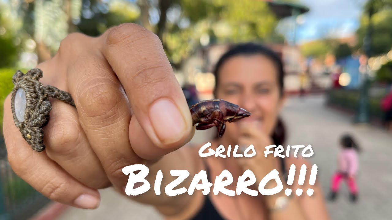 PROVANDO COMIDAS NO MÉXICO, GRILO frito com limão. 🇲🇽 - YouTube