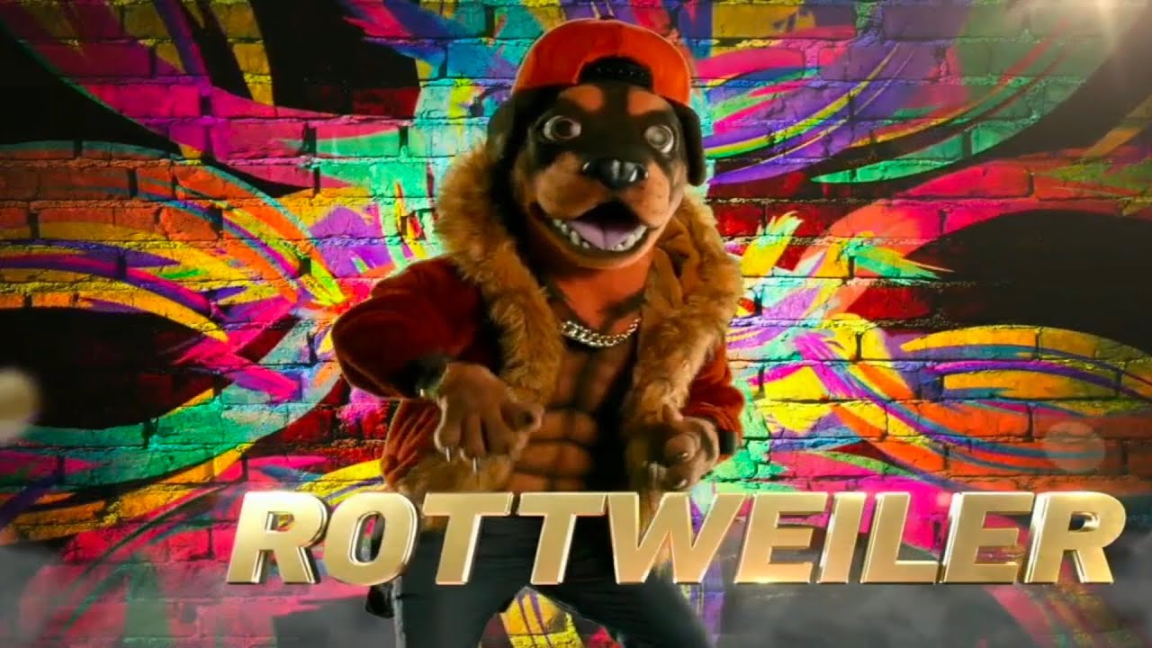 MASKED SINGER Rottweiler Performance | Mr Brightside By The Killers ...