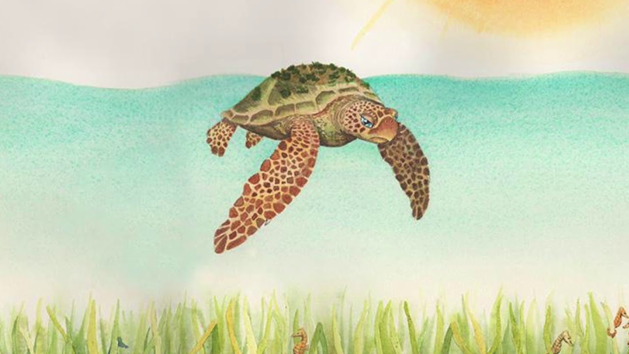 Sea and Song: Duffy's Lucky Escape - The Story - YouTube