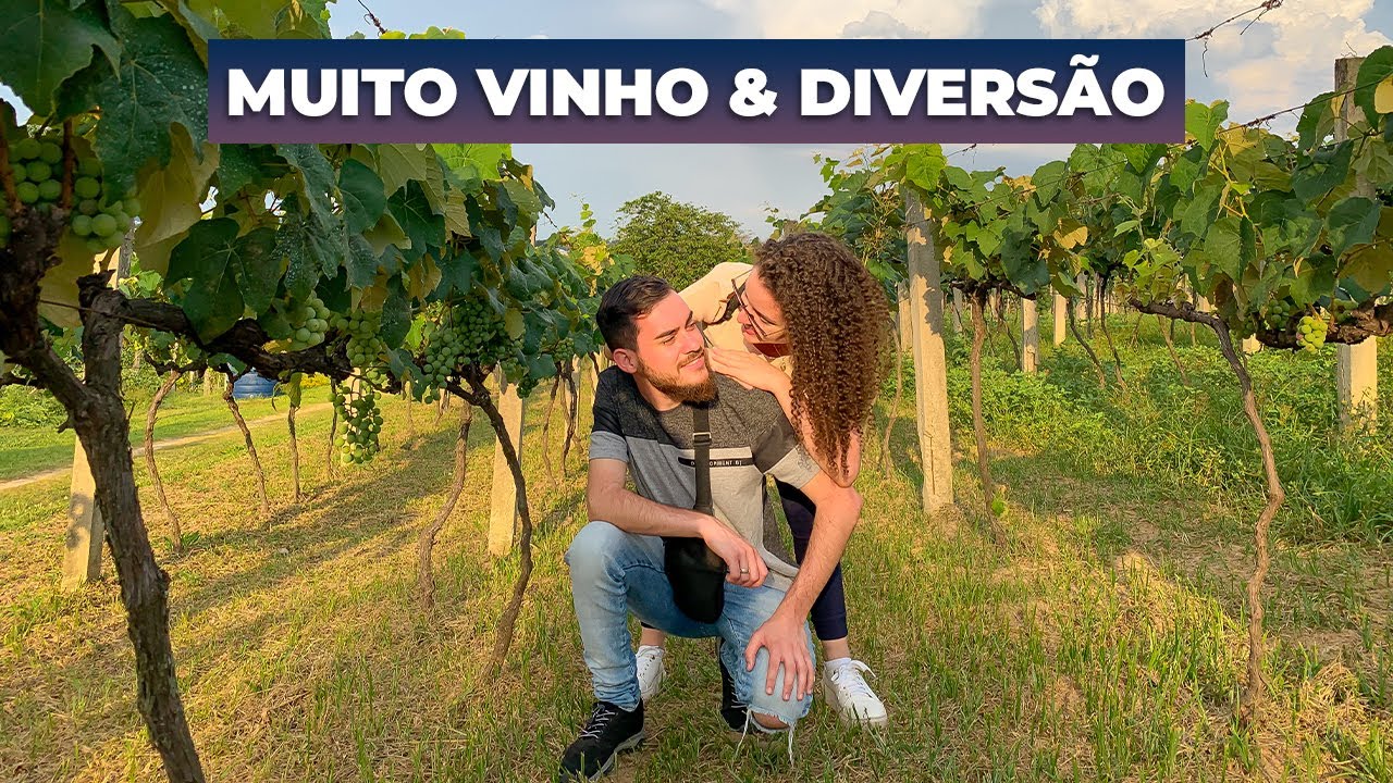 O que fazer em VINHEDO - SP | PASSEIO de UM DIA - YouTube