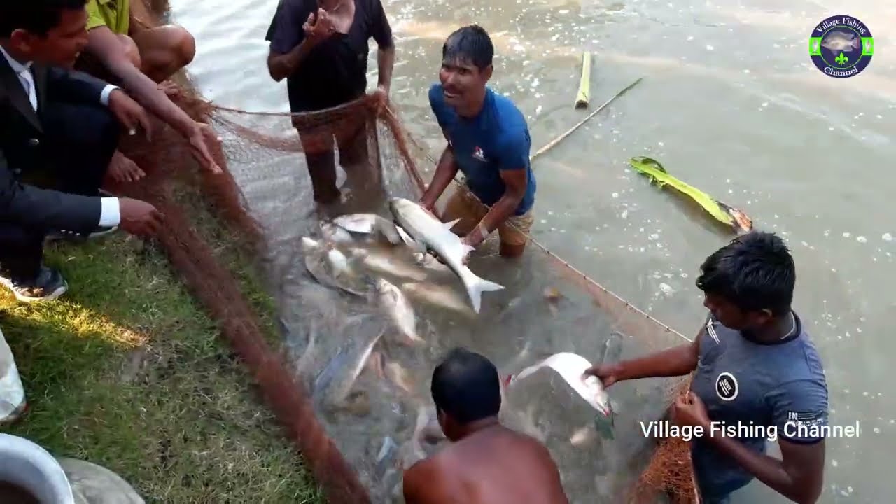 Village Fishing Video - How Many People Crowd To Watch The Fishermen ...