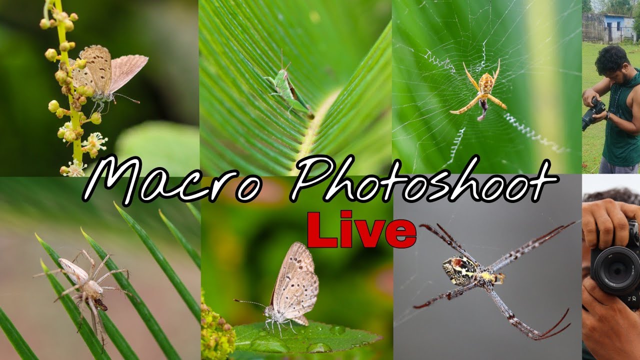 Live Macro Photoshoot || Bunny Photography || Bunny Vlogs - YouTube