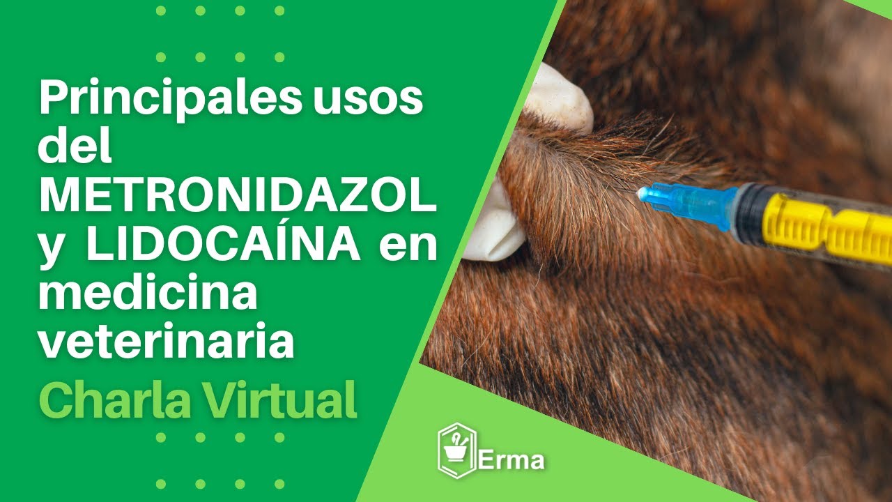 Charla Virtual ERMA - Principales usos del METRONIDAZOL y LIDOCAÍNA en ...