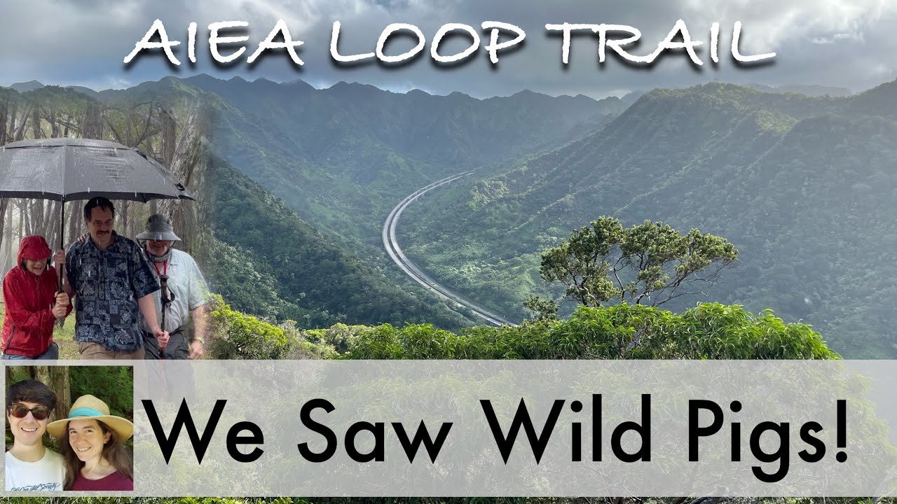 Aiea Loop Trail - Mountain Views and Wild Pigs - Oahu, Hawaii - YouTube
