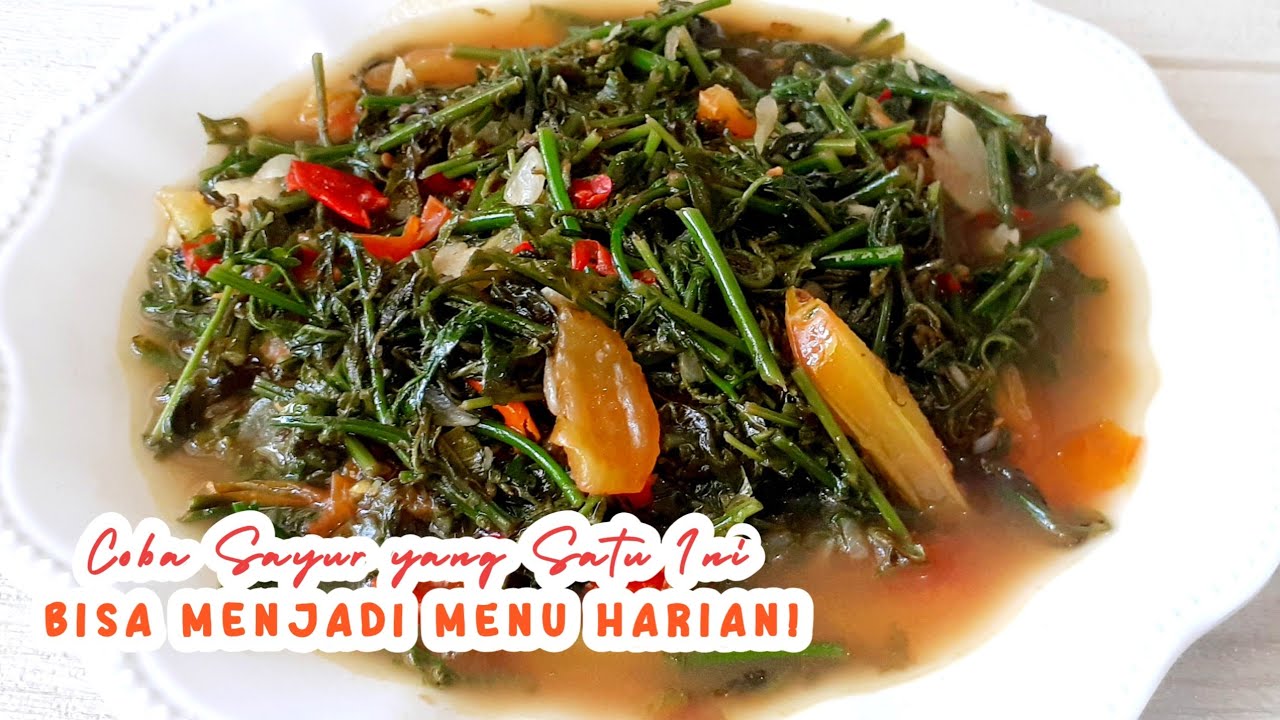 Tumis Daun PAKIS Muda Simple Masaknya Enak Rasanya! Menu Simple Saat ...