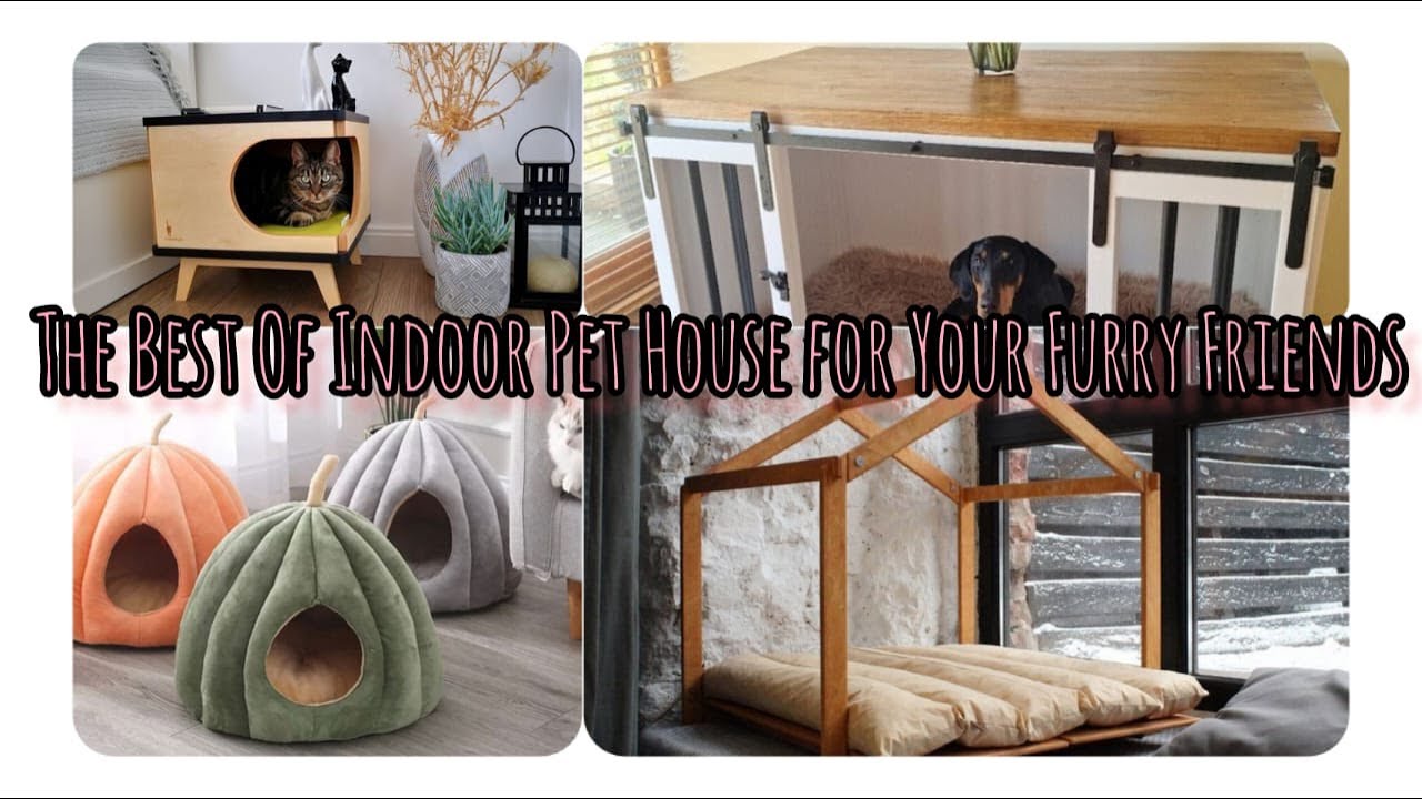 The Best Collection of Indoor Pet House Designs & Lifestyle for Your ...