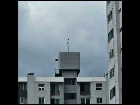 [Official Audio] pajama_boy - lullaby (Feat.NENG)