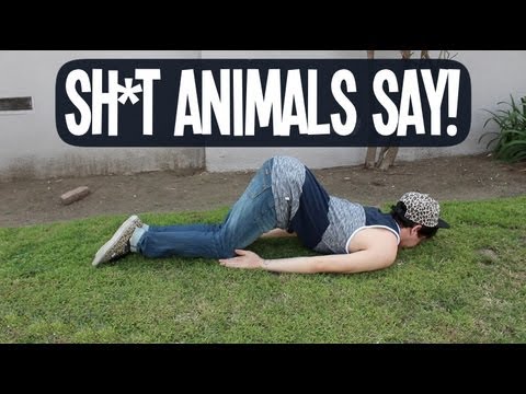 SH*T ANIMALS SAY! - YouTube