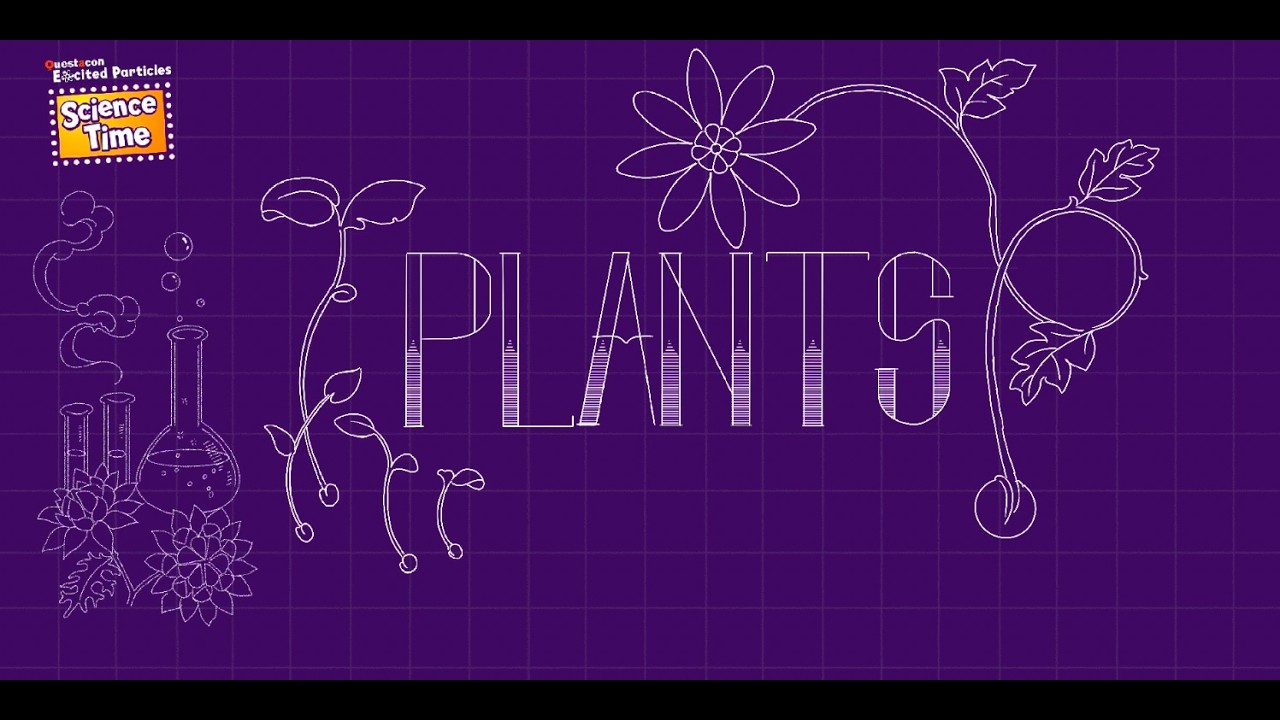 Science Time at home - Plants - YouTube