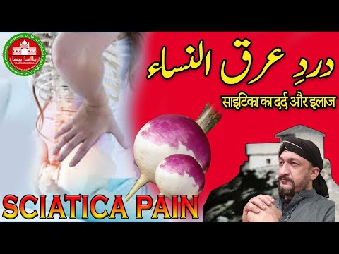 Sciatica Arqunisa Dard | Elaj | Pain | Herb | Remedy | Preg | Dream | Star | Desi | Amil | Dua | Tip