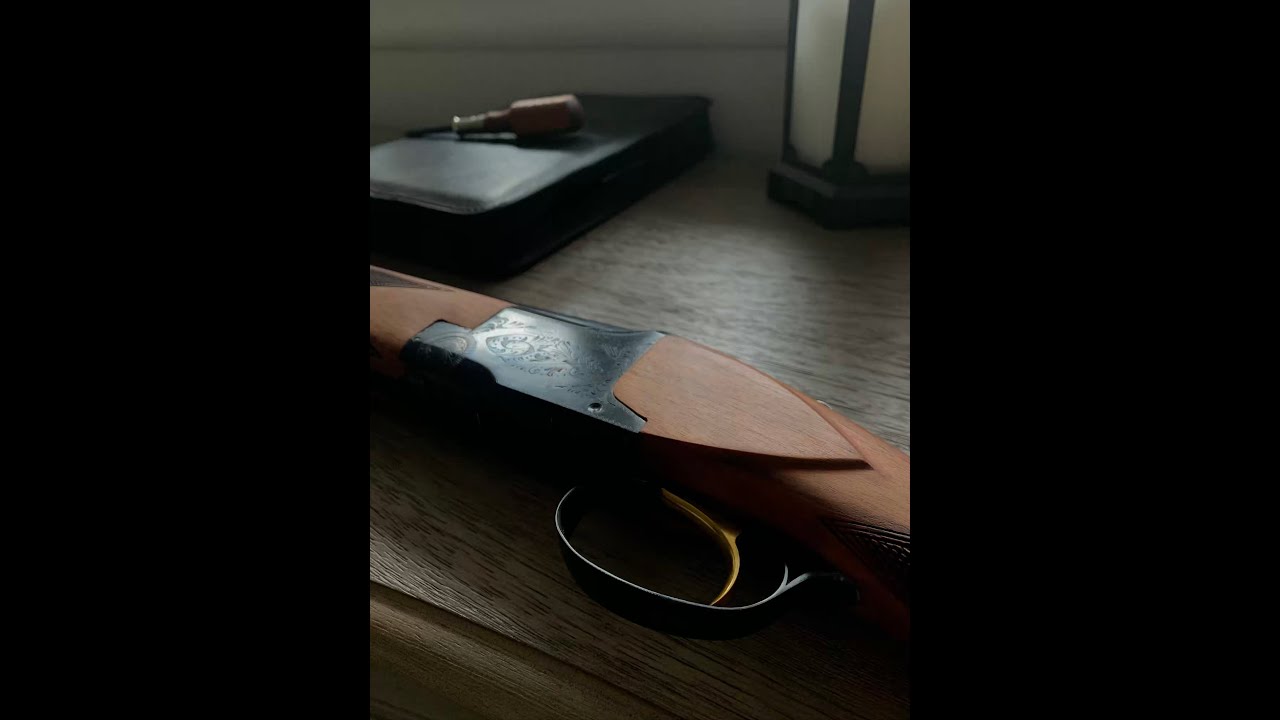 Bowning Superposed - Overview - YouTube