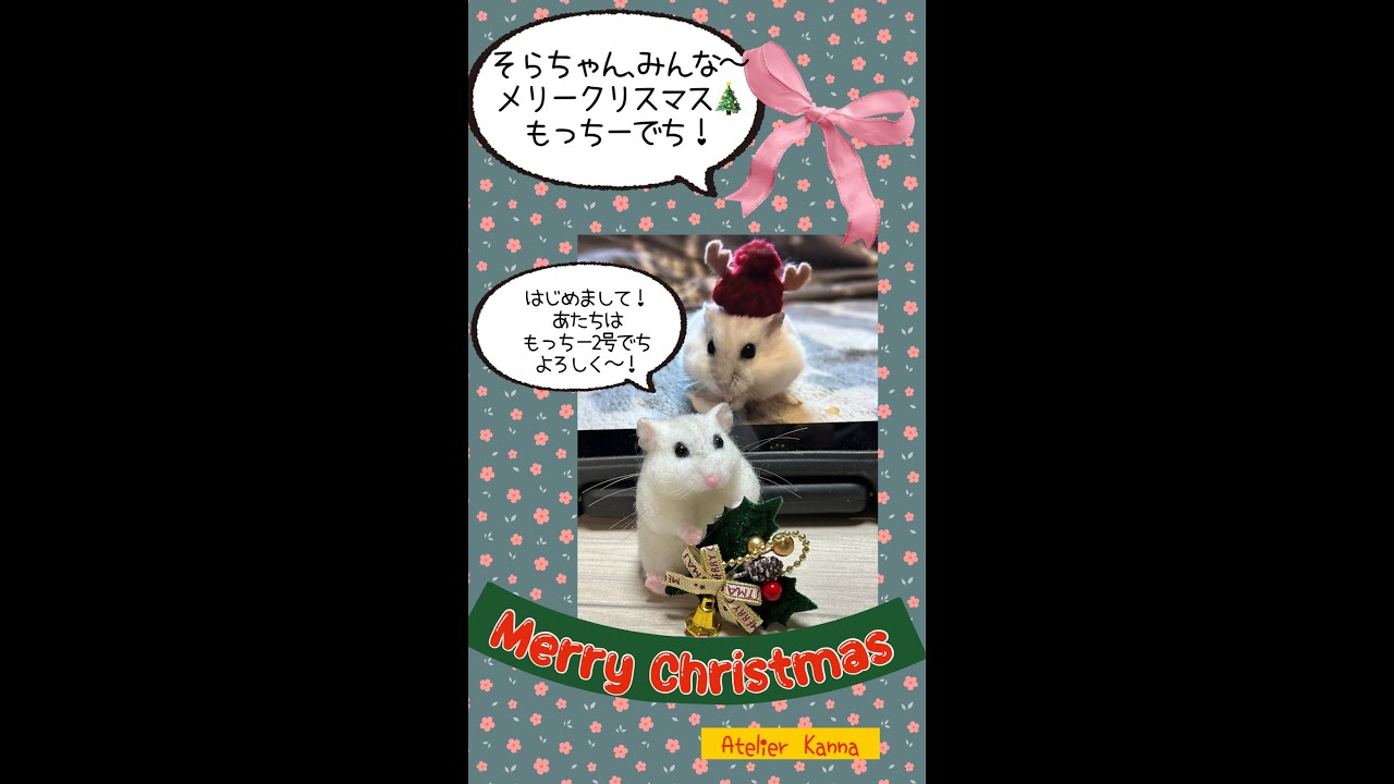 もっちー2号登場でち SD 480p - YouTube