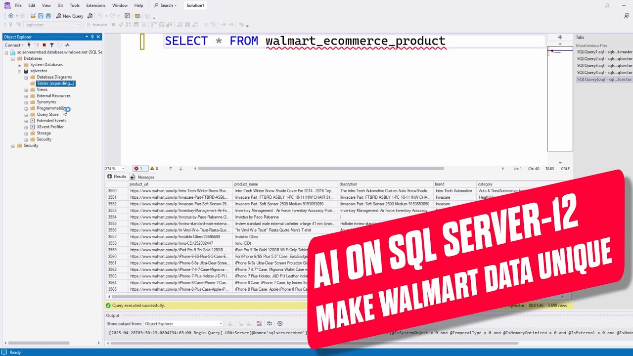 AI on SQL Server and Azure SQL-12 | Make Walmart Data Unique - YouTube